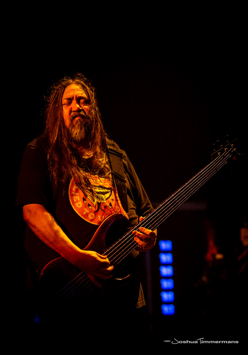 Festivals | PanicStream